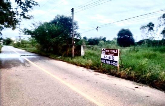 ที่ดิน สำหรับทำ ไร่ใกล้โรงเรียนปลูกลิ้นจี่ทำเป็นคลังโซนสีเขียวน้ำท่วม ...