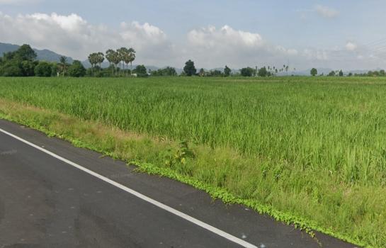 ที่ดินสามร้อยยอดทำ ไร่เกาะช้างตราดสวนลำไยนครนายกโซนสีส้มใกล้ทางคู่ขนาน ...
