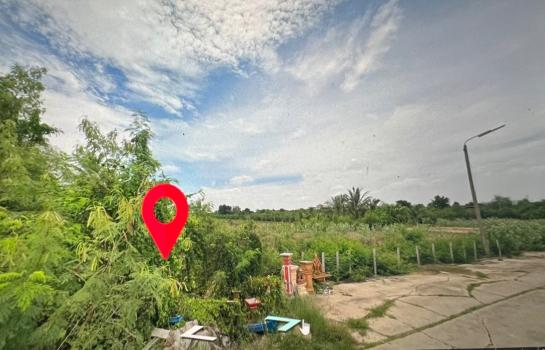 ที่ดิน100 ตารางวาพุทธมณฑล ขาย ที่ดิน เนื้อที่ 1 งาน ต.คลองโยน อ.พุทธ ...