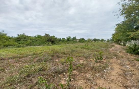 ที่ดินติดแม่น้ำนครสวรรค์ ขายด่วนที่ดินพร้อมสิ่งปลูกสร้าง 4ไร่ 1งาน 30 ...