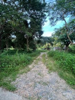 ที่ดินศาลากลาง จังหวัดเมืองติดถนนลำปางปลูกมะพร้าวพื้นที่สีขาวสวนทุเรียน ...