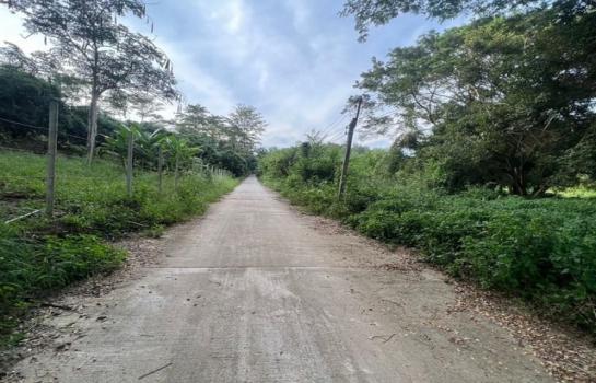 ที่ดินศาลากลาง จังหวัดเมืองติดถนนลำปางปลูกมะพร้าวพื้นที่สีขาวสวนทุเรียน ...