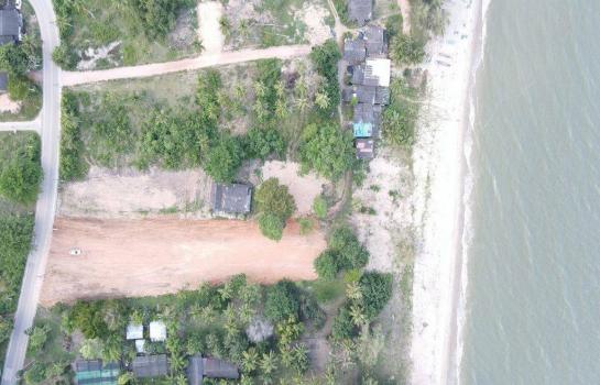 ที่ดิน หงส์ฟ้าพลาซ่า ไร่เชิญตะวันประจวบคีรีขันธ์การเกษตรบ่อปลาพื้นที่สี ...