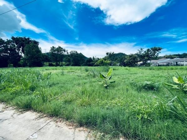 ขายที่ดิน เครือสหพัฒน์ ขาย ที่ดินเปล่า หน้ากว้าง 40 เมตร บางพระ ศรีราชา ...