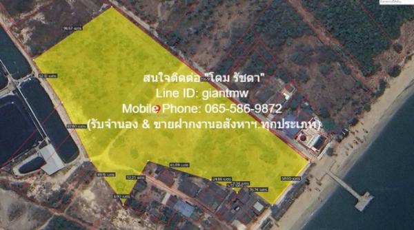 ขายที่ดิน เมือง ประจวบคีรีขันธ์ 43,000,000-56,000,000 บาท