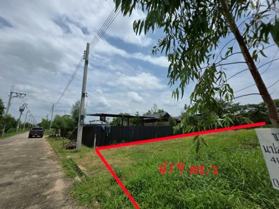 ขายที่ดินหนองจอก 1,050,000-2,100,000 บาท